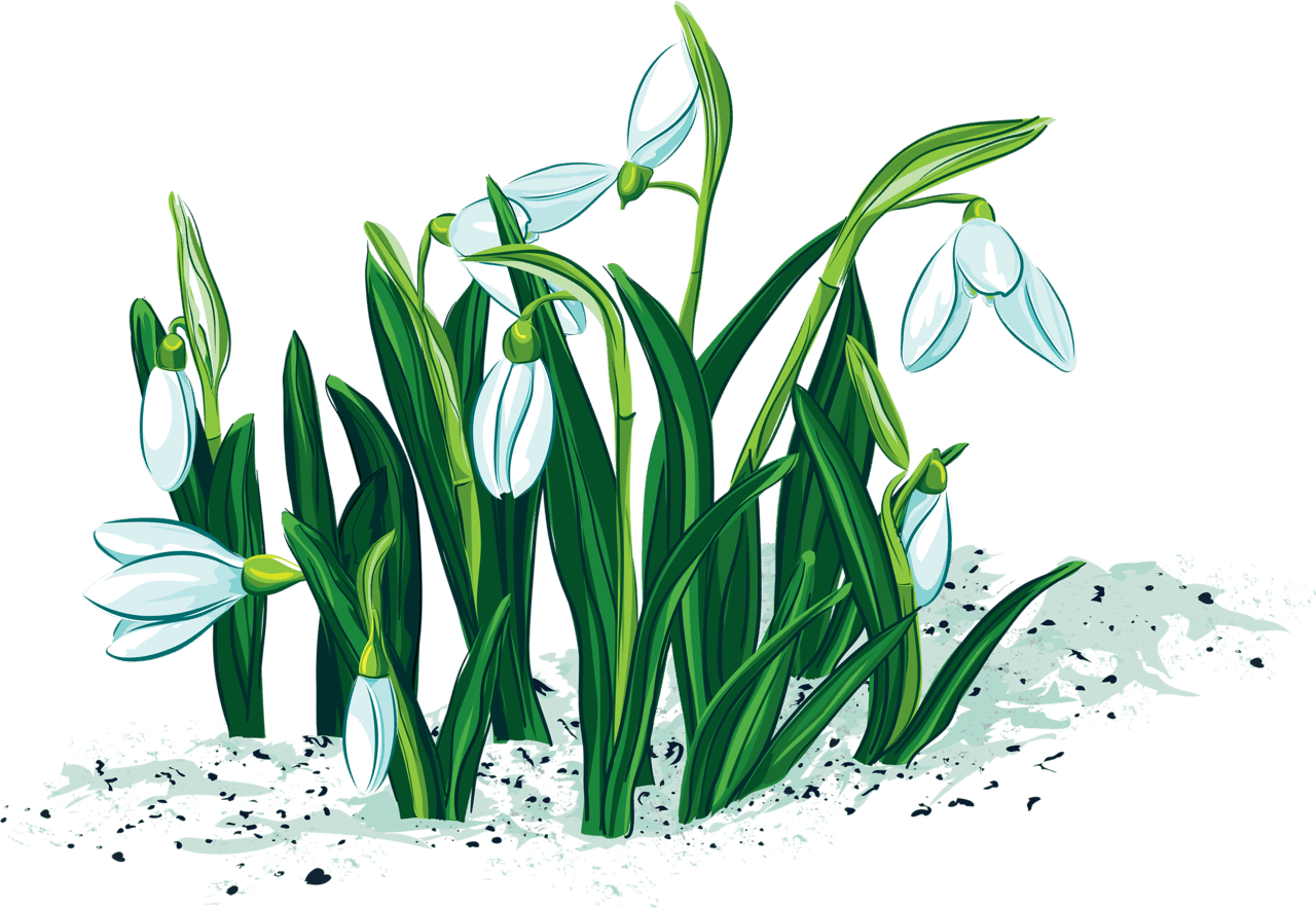 Split Team | Программное обеспечение